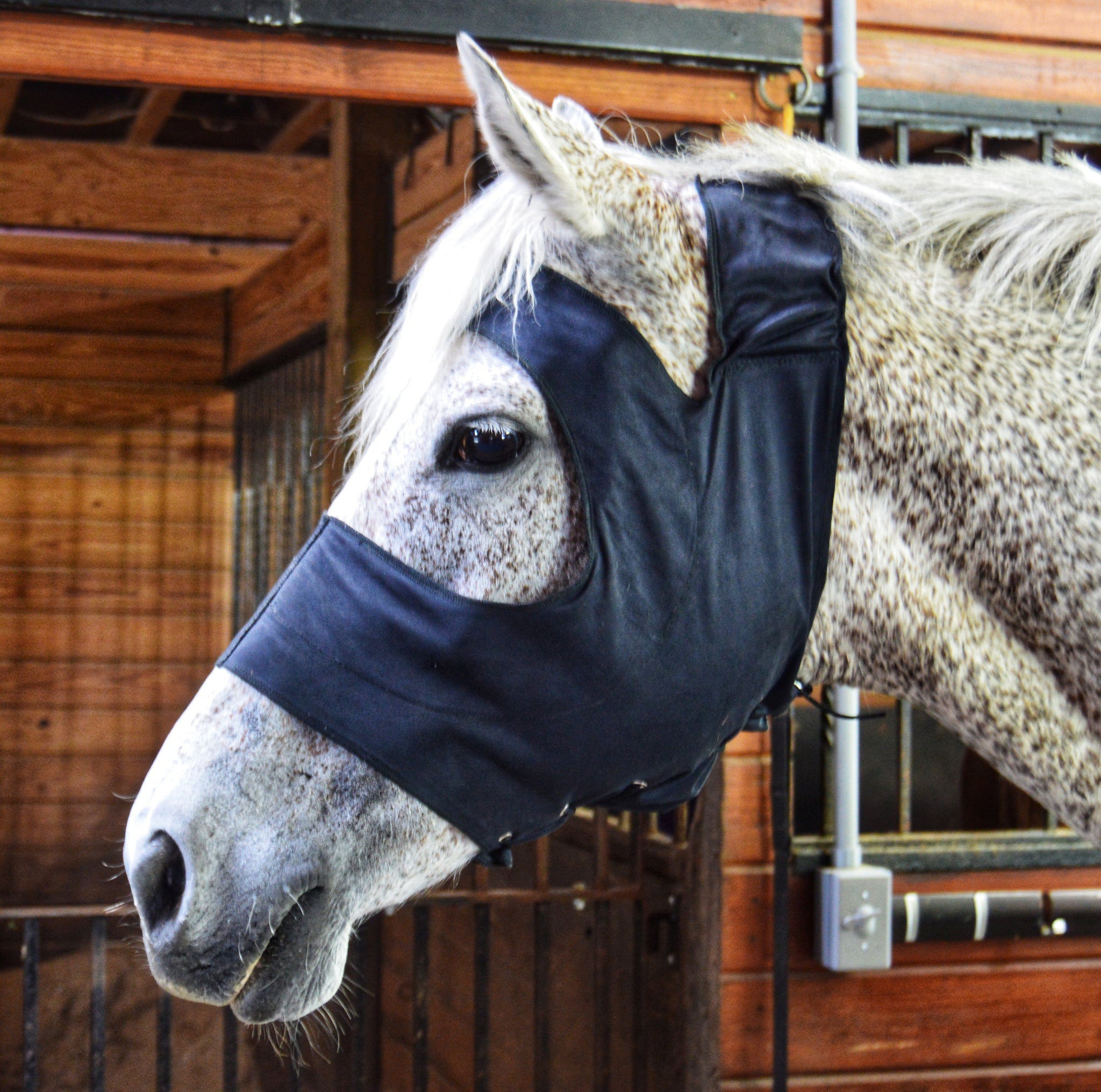 Medical Protective Mask – Equine Eye Supply